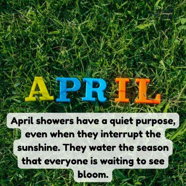 400 Hello April Quotes for Fresh Starts, Joy, and New Beginnings