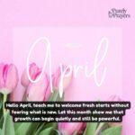 400 Hello April Quotes for Fresh Starts, Joy, and New Beginnings
